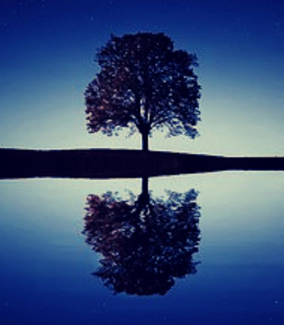 Self reflection definition - pikolwaves Self reflection definition - pikolwaves